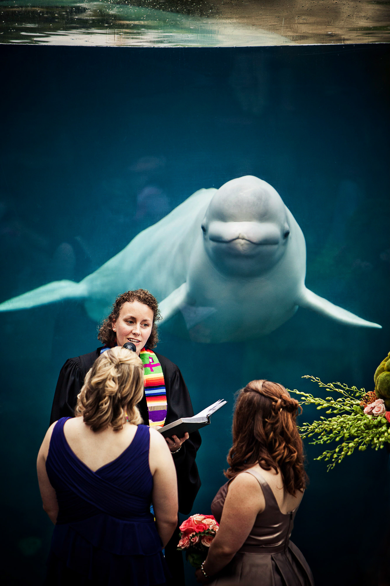 World’s Best Wedding Photography