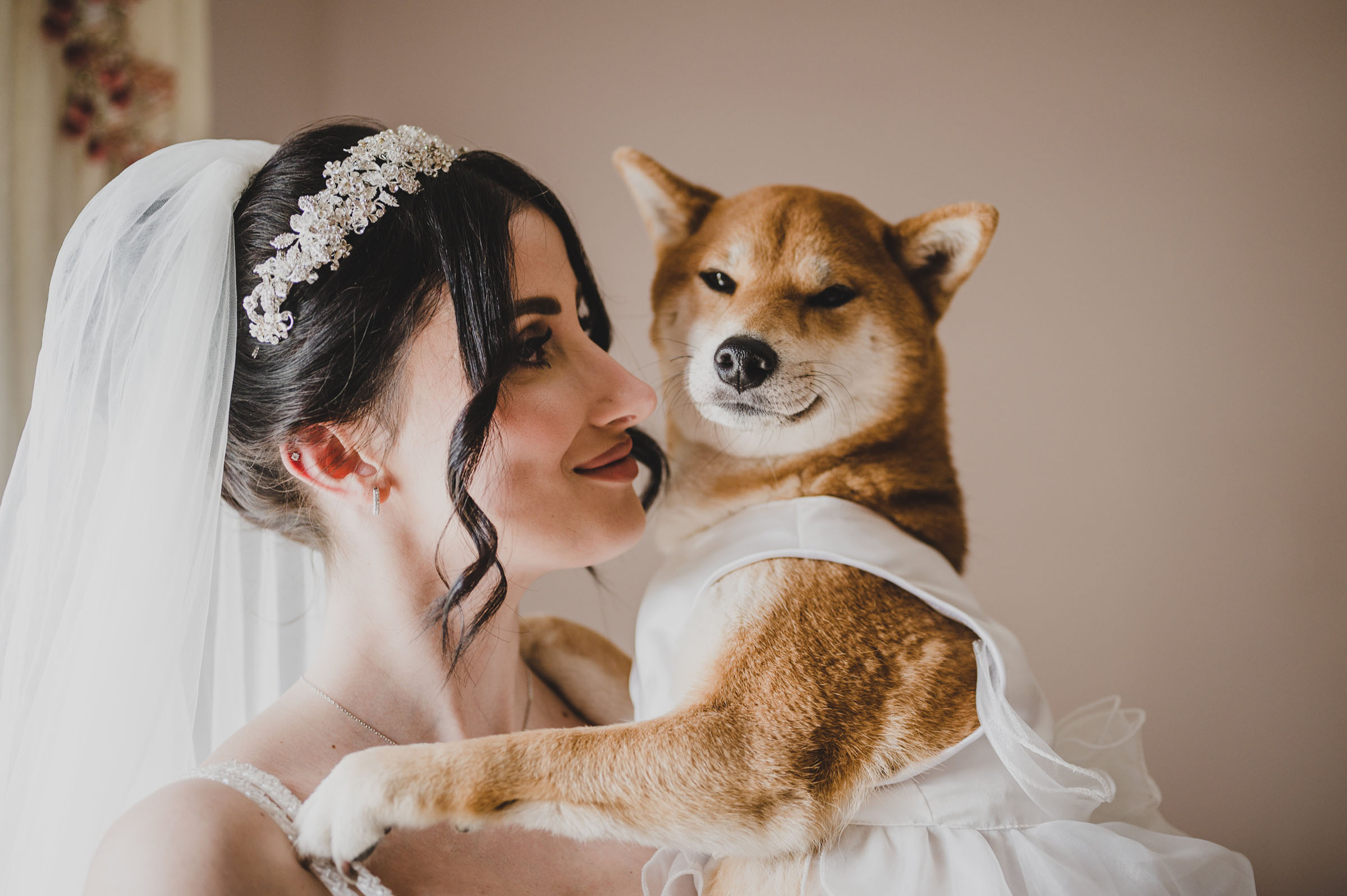 bride with dog in dress, photo by Matthew Calleja Photography, Malta ...